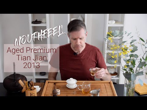 Dark Tea Tasting | Aged Premium Tian Jian 2013 | ZhenTea Sip Along