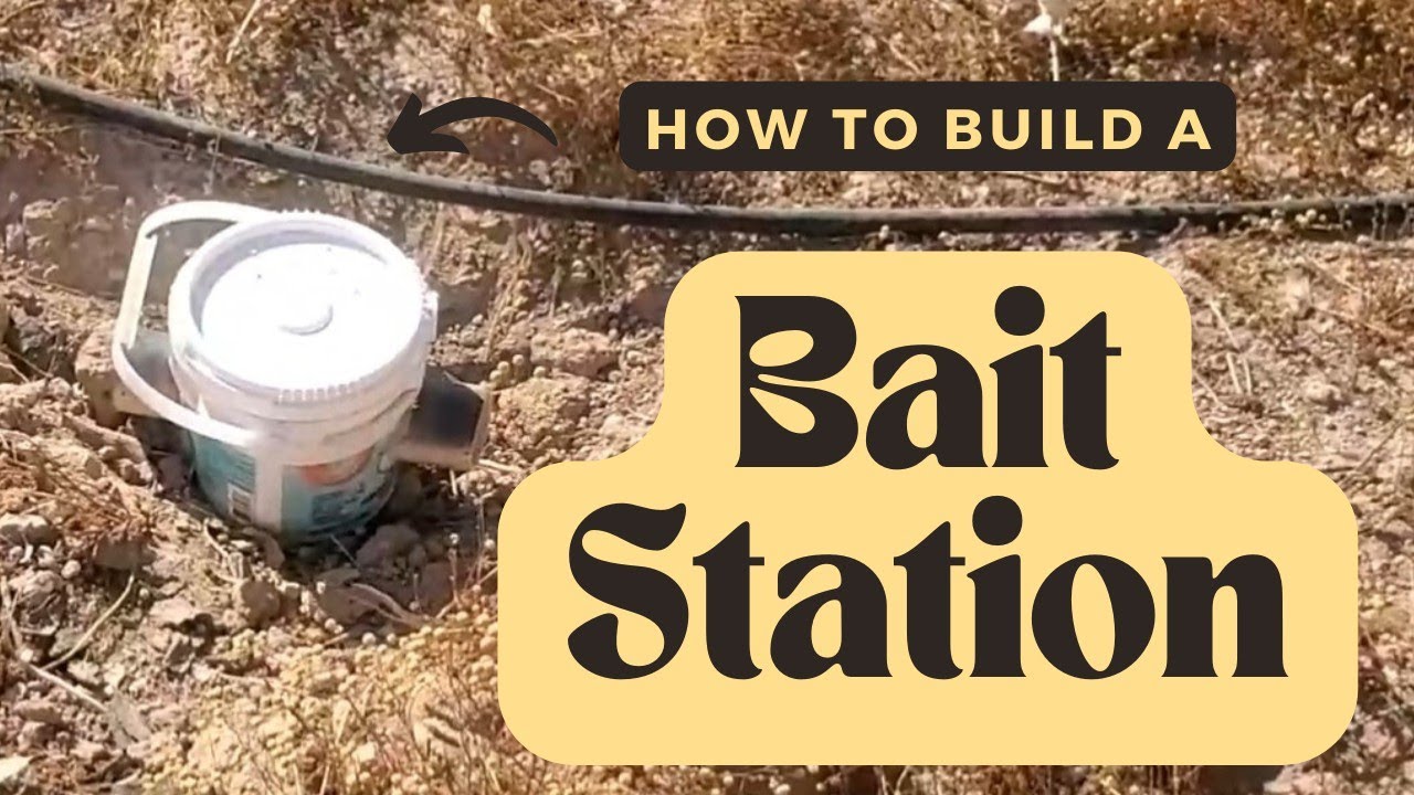 DIY - Bait Station - YouTube