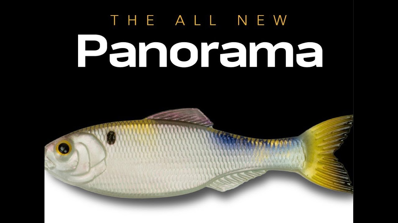 NEW 6th Sense panorama TIP - Available NOW - YouTube