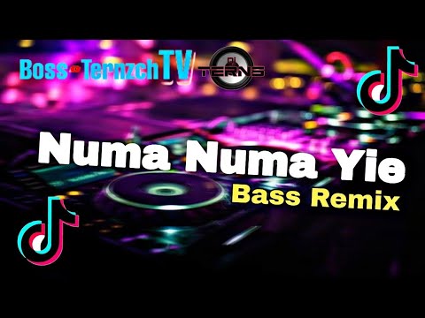 Numa Numa Yei Tiktok Viral Song 2021 - Dj TERNS (Bass Remix) - YouTube