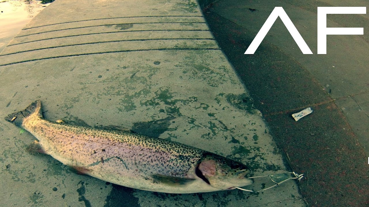 Stocked Trout Fishing!!!! - YouTube