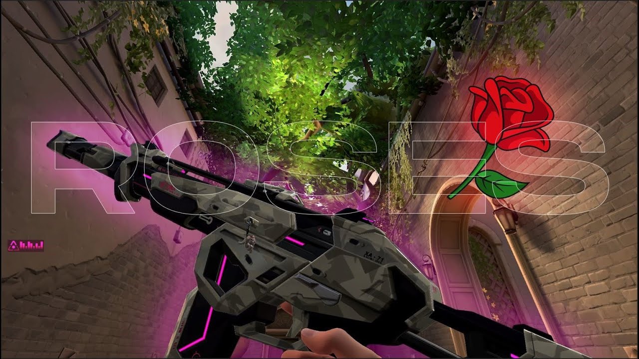 Roses 🌹 (Valorant Montage) - YouTube