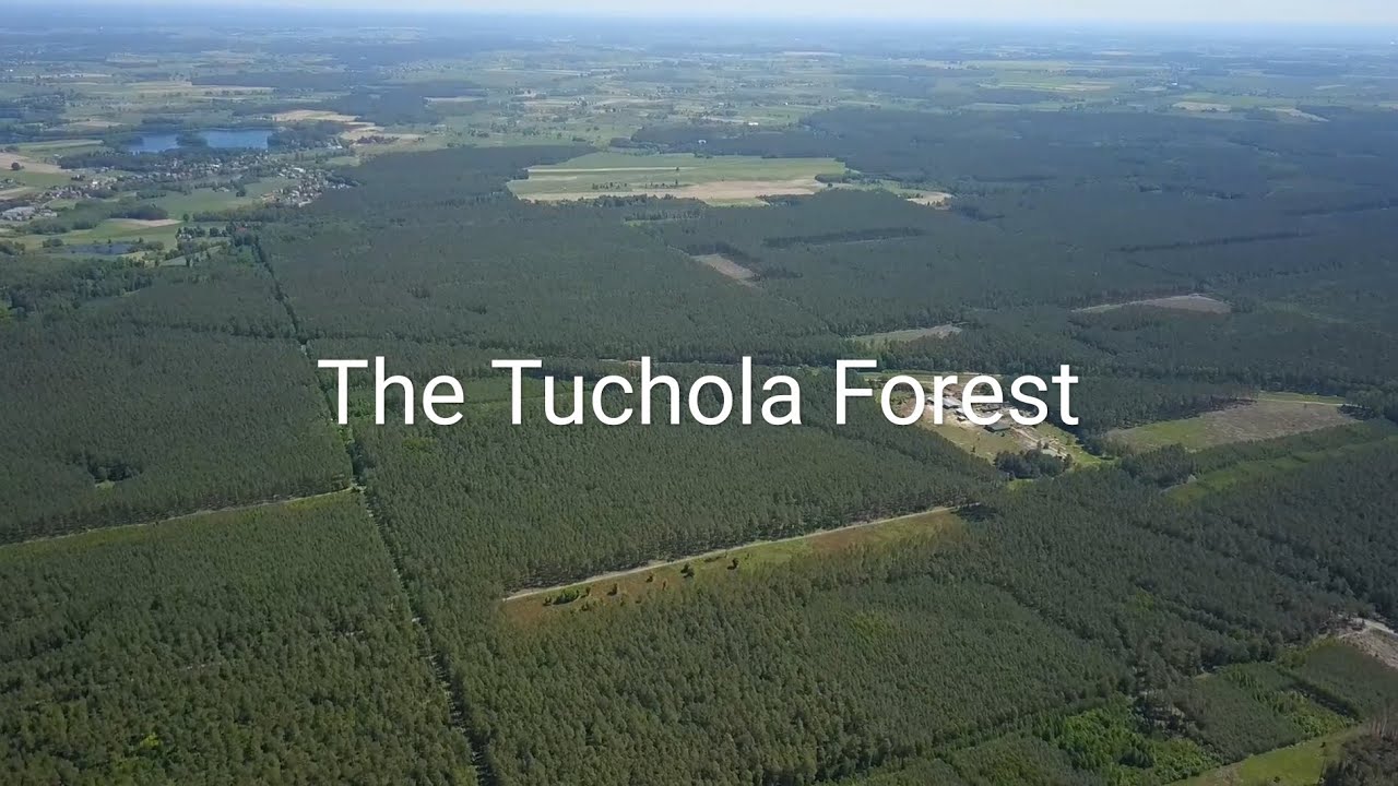 The Tuchola Forest, Poland. Drone footage. - YouTube