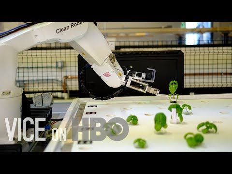 The Future Of Work: A VICE Special Report (Trailer)