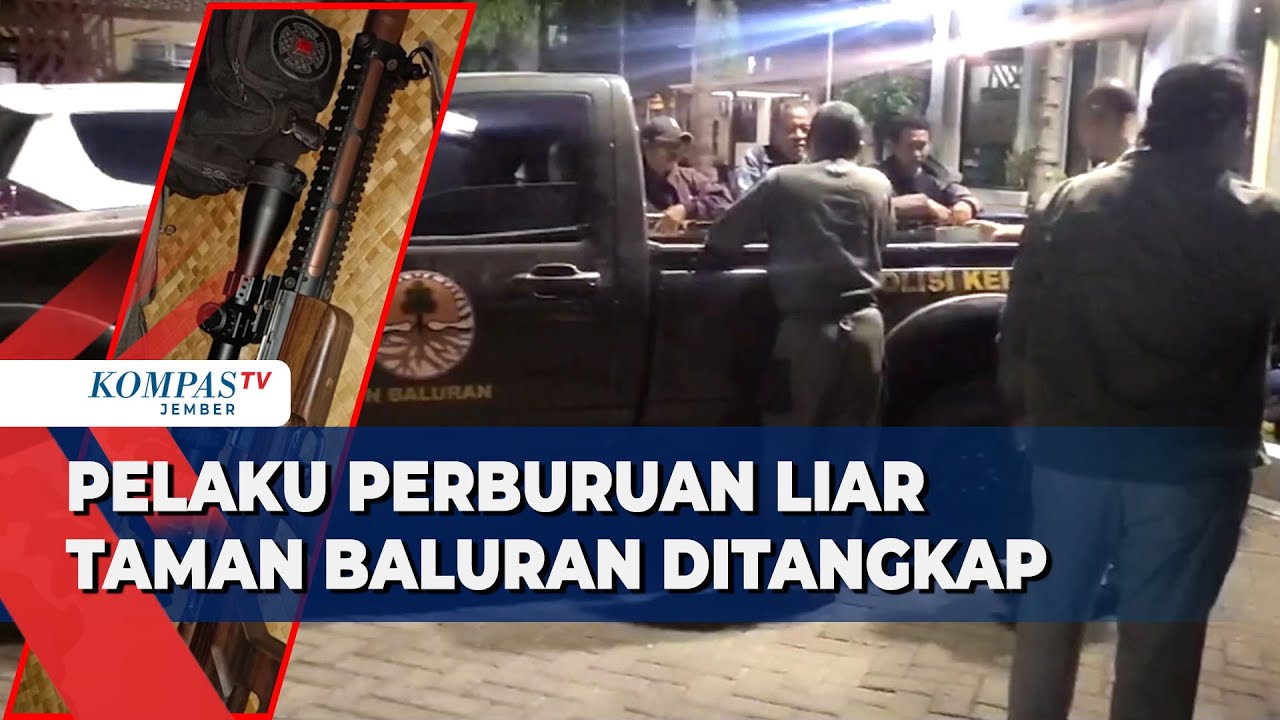 3 Pelaku Perburuan Liar di Taman Nasional Baluran Dibekuk Polisi - YouTube