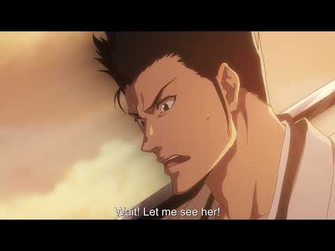 Isshin Kurosaki as a captain of the Gotei 13! (anime version) TYBW episodes 10-11