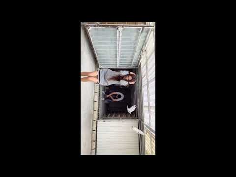 ŞEYDA AYDIN EN YENİ TİKTOK VİDEOLARI