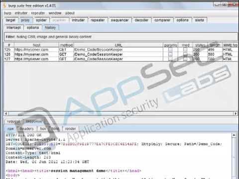 Java Secure Coding: Session and Cookie Management 5 4 Cookie Security ...