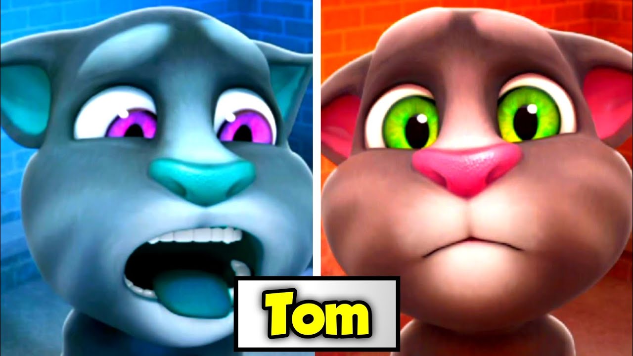 Talking Tom Cat 😺 - Gameplay With Tom - YouTube