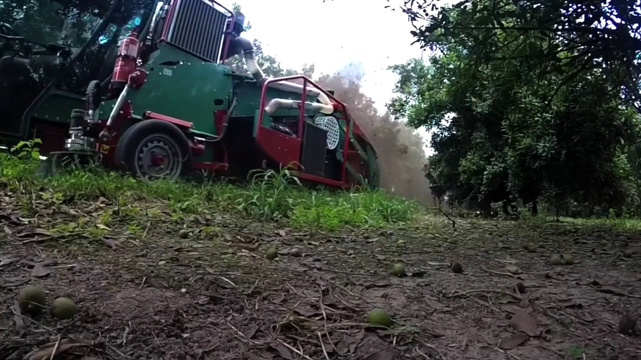 AMB Rousset - Macadamia Harvester Demo - YouTube
