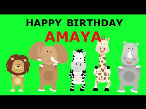 Happy Birthday Amaya  - It's Your Birthday HOORAY! The Modern Birthday Song for Kids.