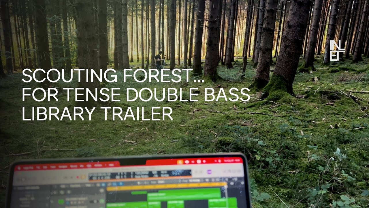 scouting forest...for tense double bass library trailer - YouTube
