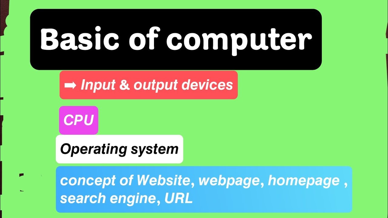 Basic of computer | Input & output devices | CPU | search engines ...