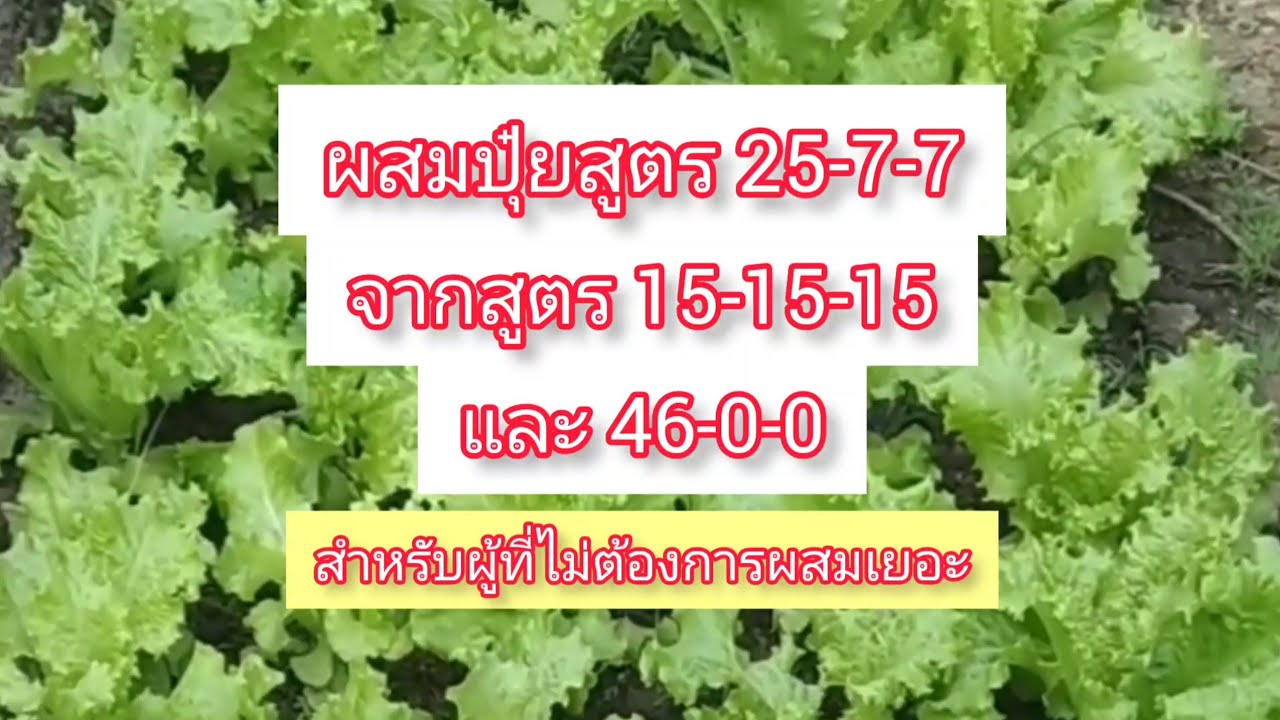 ผสมปุ๋ยสูตร25-7-7 จากปุ๋ยสูตร15-15-15และ46-0-0 (สำหรับผู้ที่ไม่ต้องการ ...