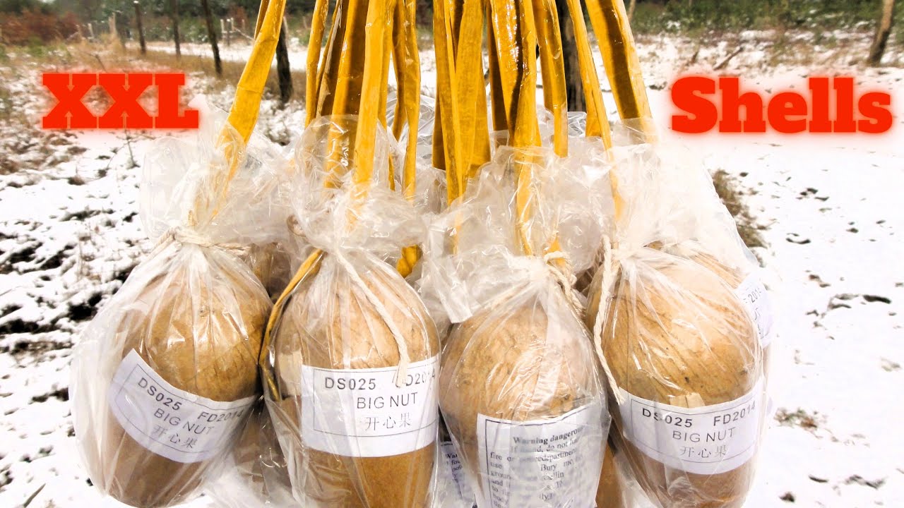 Fireworks Compilation Mega XXL Shells Vergleich TheOftler - YouTube