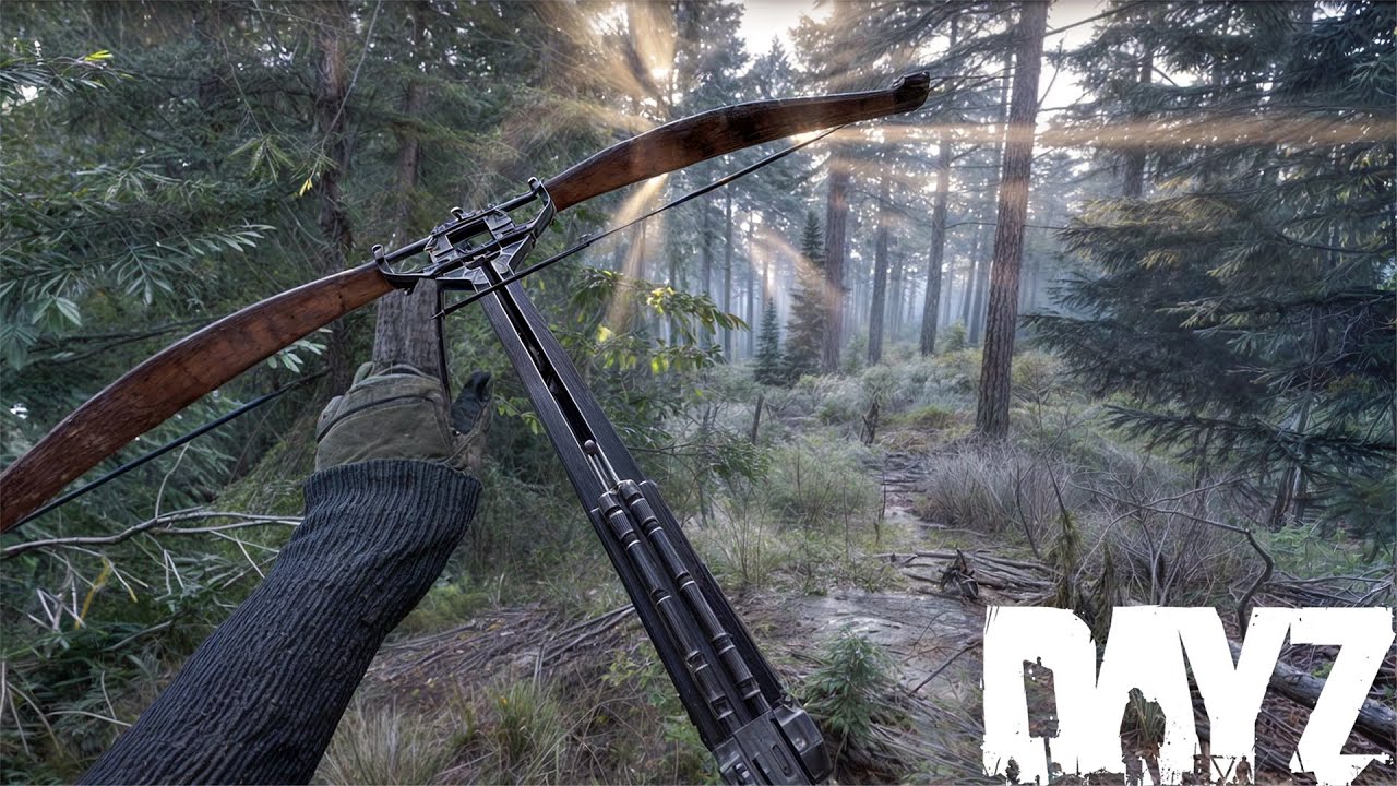 Crossbow Hunter - DayZ - YouTube