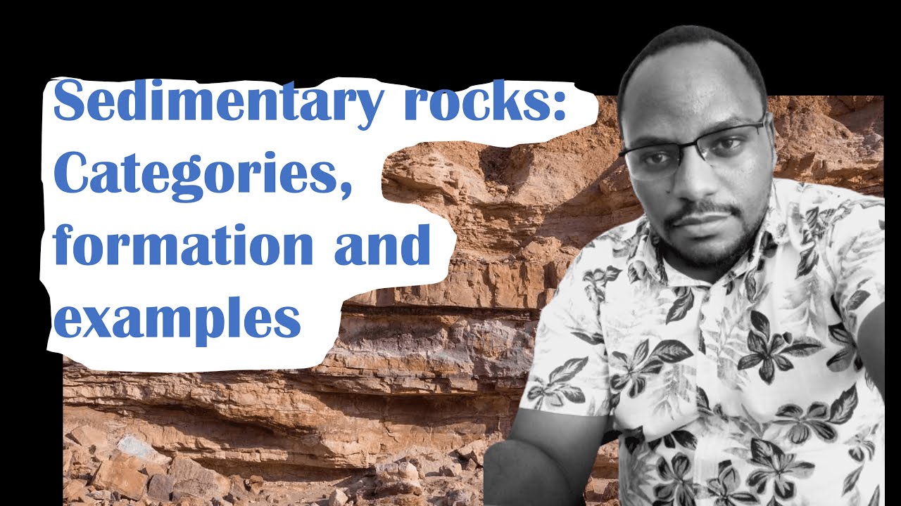 Sedimentary rocks. Mechanical, Organic, Chemical. - YouTube