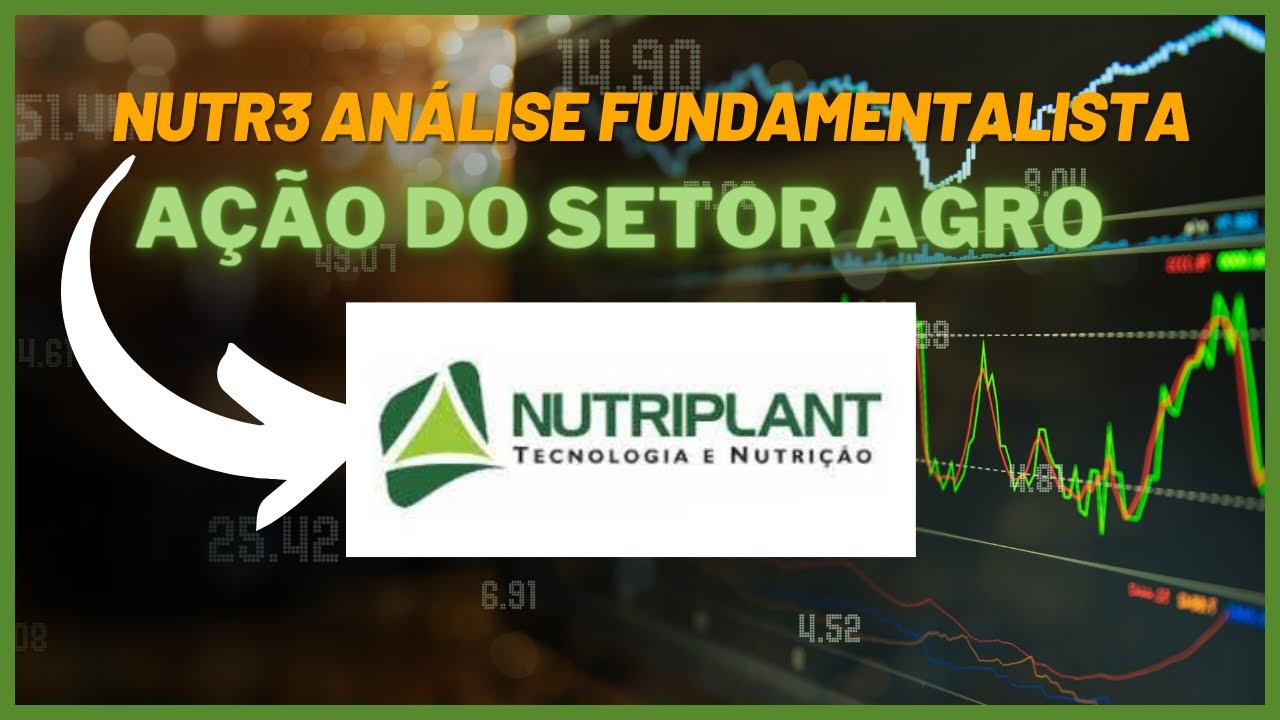 #207 NUTR3 ANALISE FUNDAMNETALISTA NUTR3 NUTRIPLANT INDUSTRIA E ...