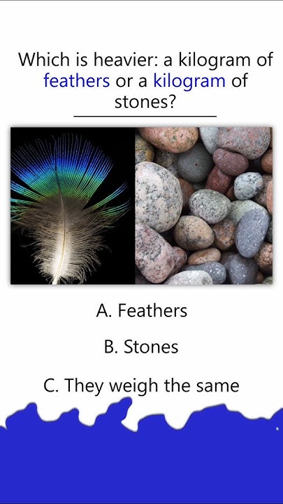 Are you smarter than a high schooler? #shorts #quiz - YouTube