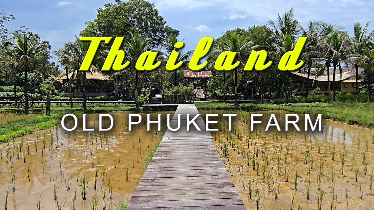 СТАРАЯ ФЕРМА ПХУКЕТА / OLD PHUKET FARM - YouTube