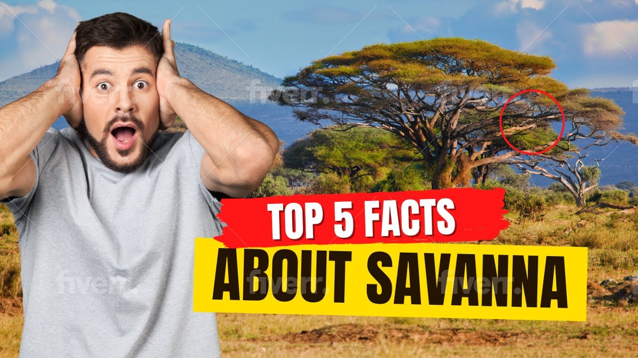 Unveiling the Secrets of the Savanna: Fascinating Facts About Earth's ...