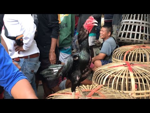 Sepecial bulan puasa pasar gawok penuh bagusan boskuh - YouTube
