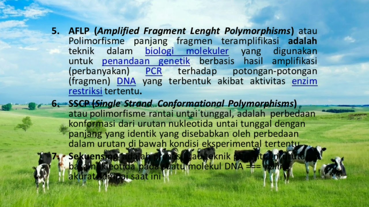Peningkatan mutu bibit ternak melalui bioteknologi molekuler. - YouTube