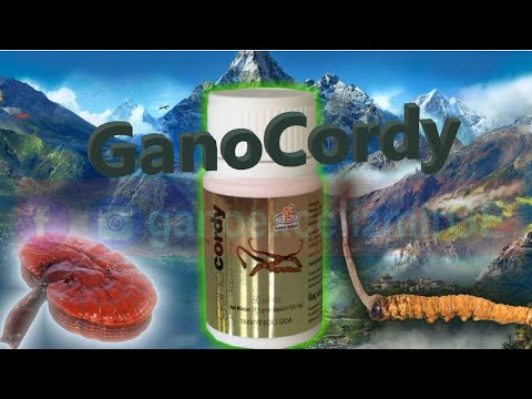 Gano Excel Ganocordy Kapsül Nedir, Nasıl Kullanılır, Faydaları Nelerdir. Türkçe - Engelsiz Video