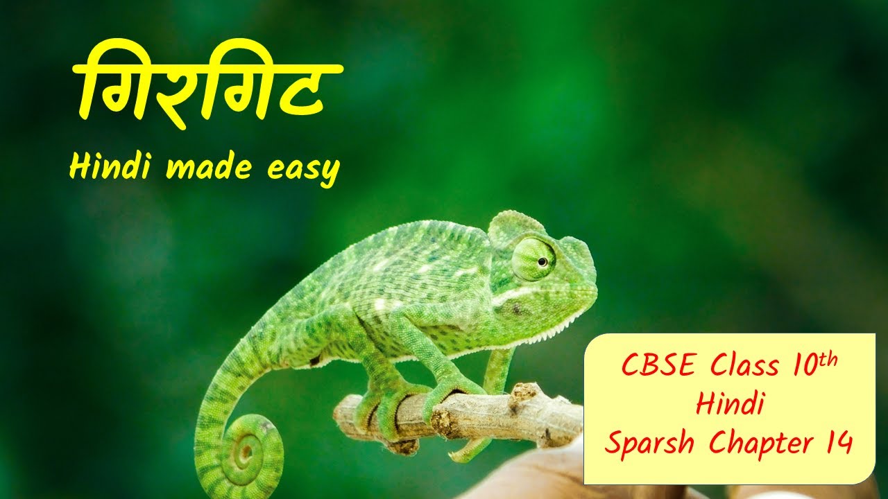 Girgit | Sparsh Chapter 14 | CBSE Class 10 Hindi 2024-25 | English ...