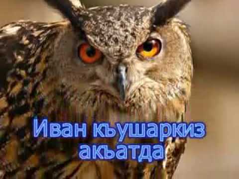 ЛЕЗГИ МУЗЫКА