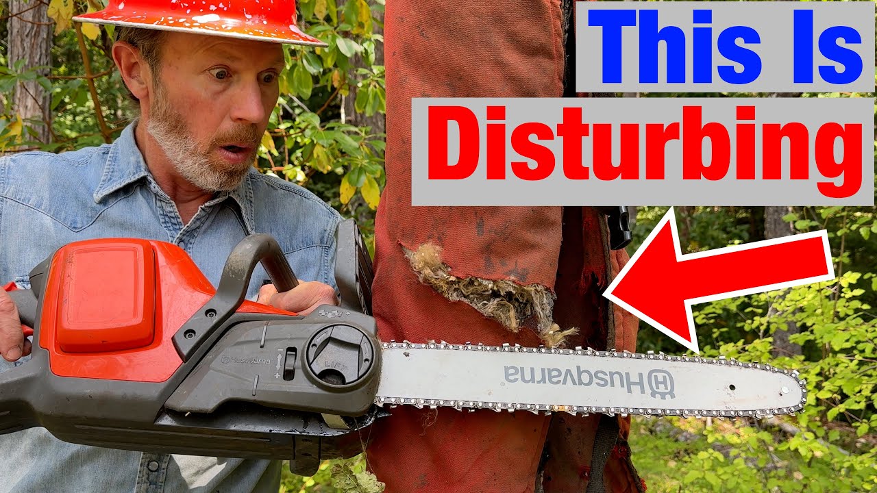 Electric Chainsaw vs Chaps - Not What I Was Expecting! - YouTube