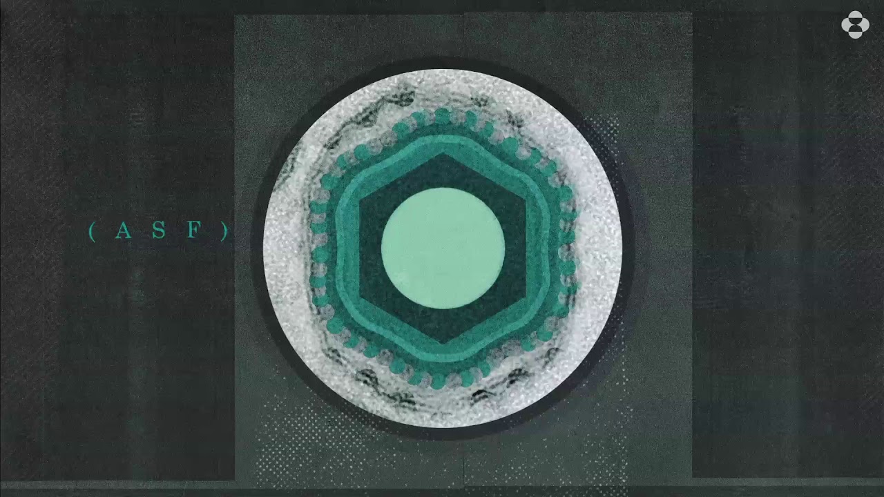 ASF history and virus characteristics - YouTube