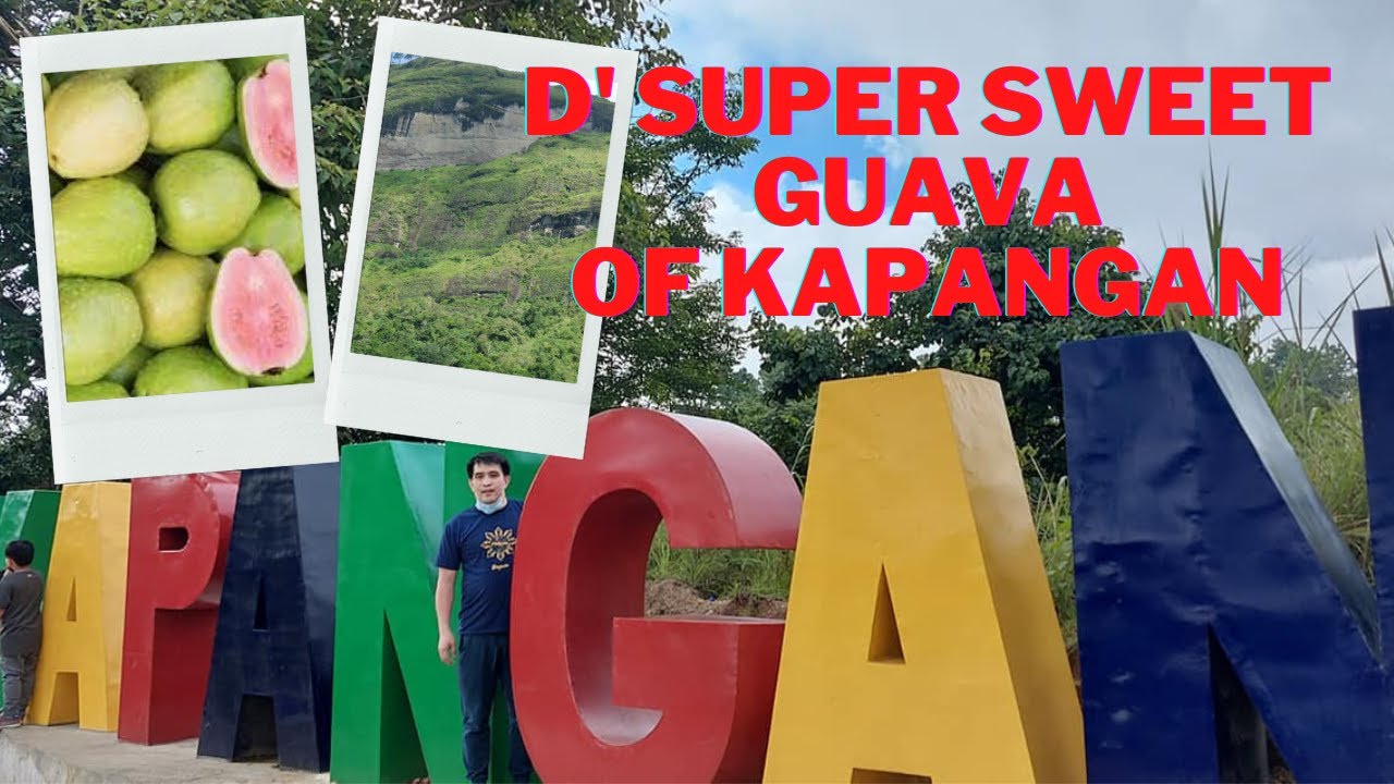 The super sweet guava of Kapangan - YouTube