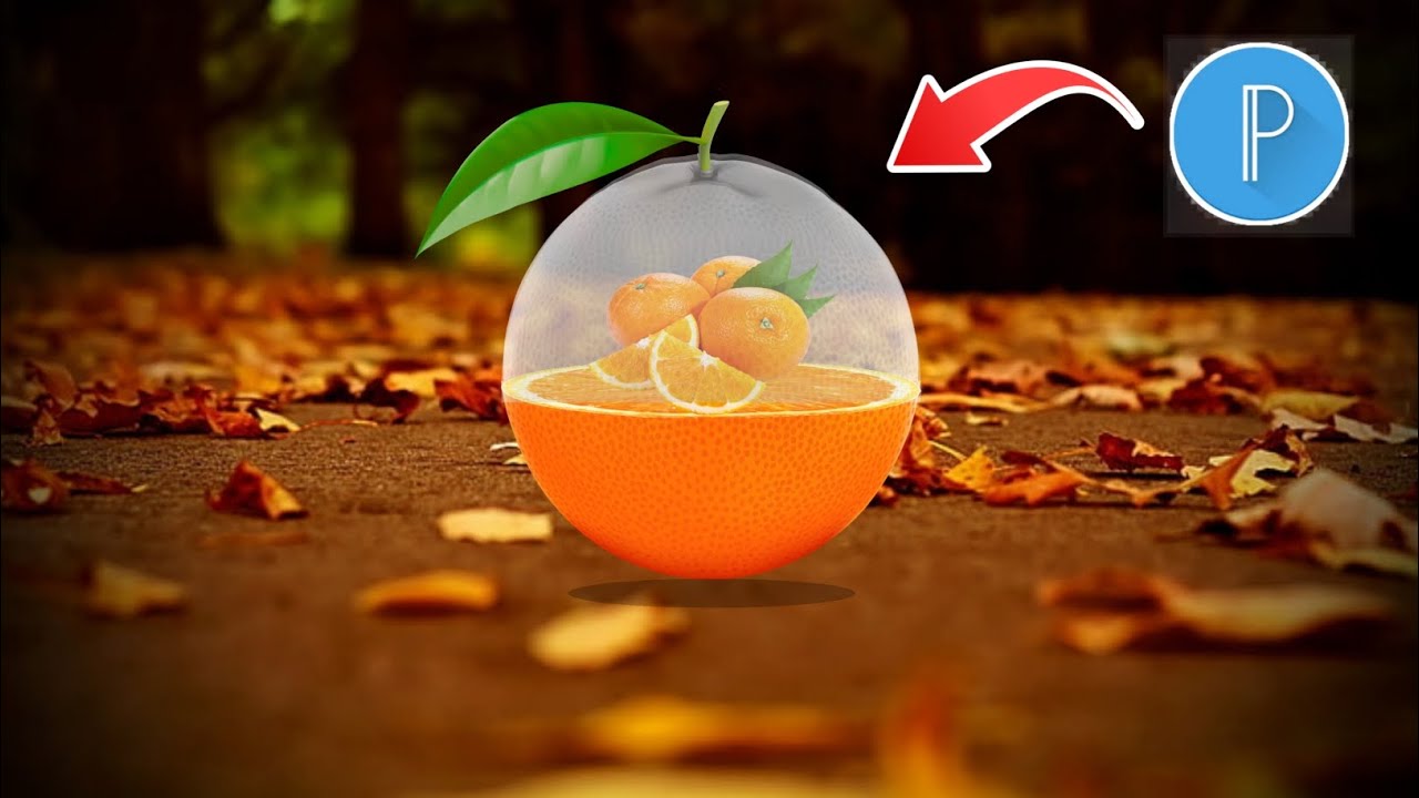 Best Pixellab Manipulation.2 || Editing With Pixellab || My Studio 302 ...