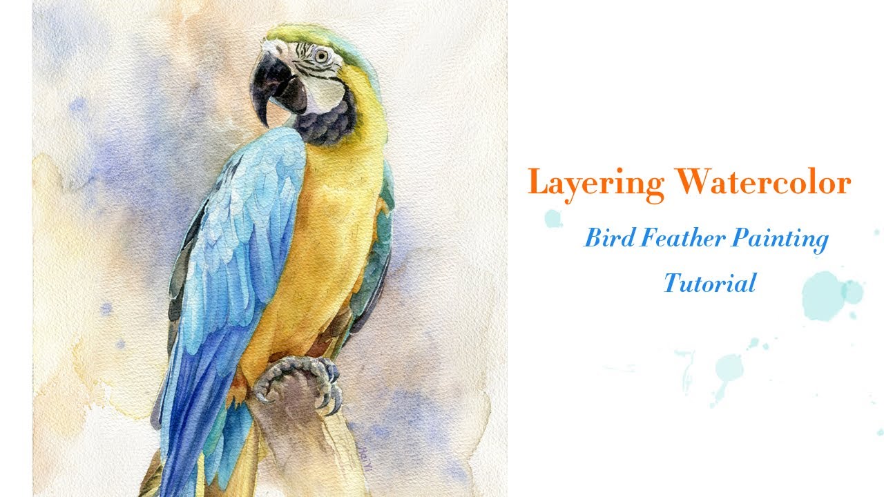 Watercolor Layering Tutorial 💜 Painting A Parrot, Macaw Art - YouTube