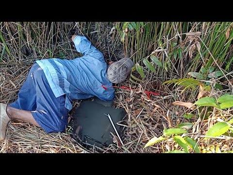 REKOR TERBARU MANCING LELE LEMBAT TERBESAR 2019...