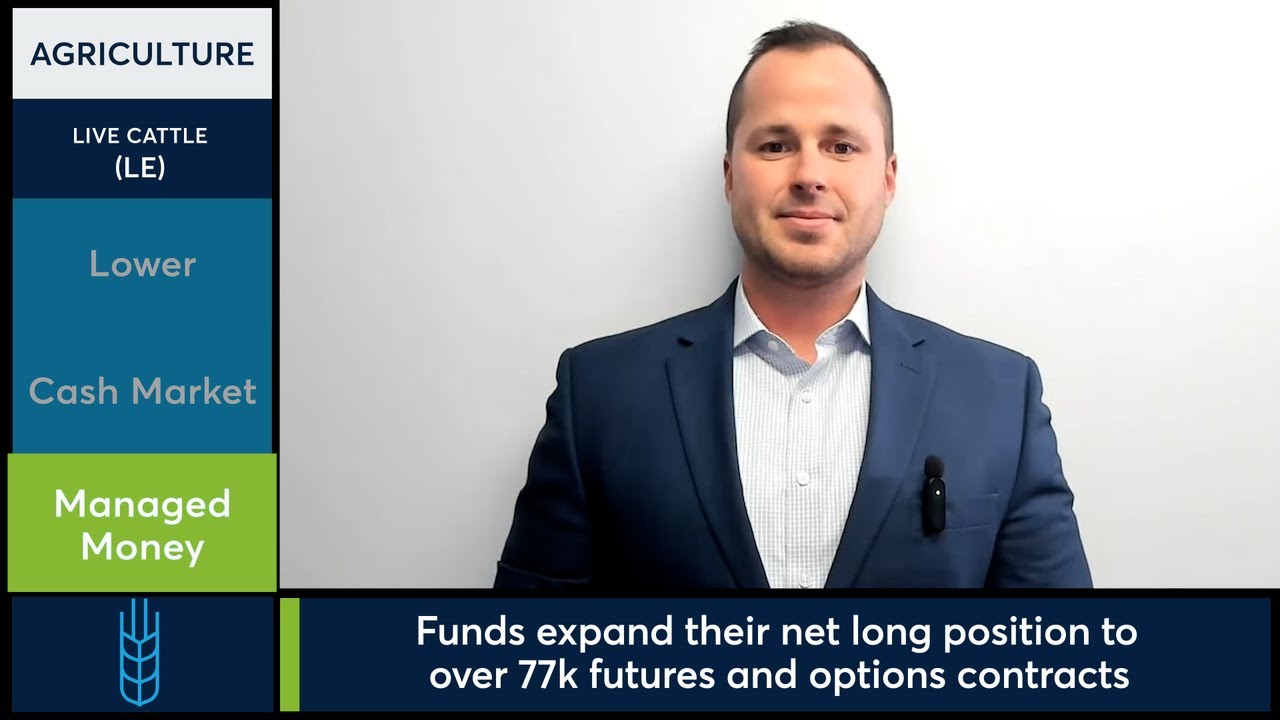 Lean Hog futures lead Livestock futures lower on Tuesday. 10/15/24 ...