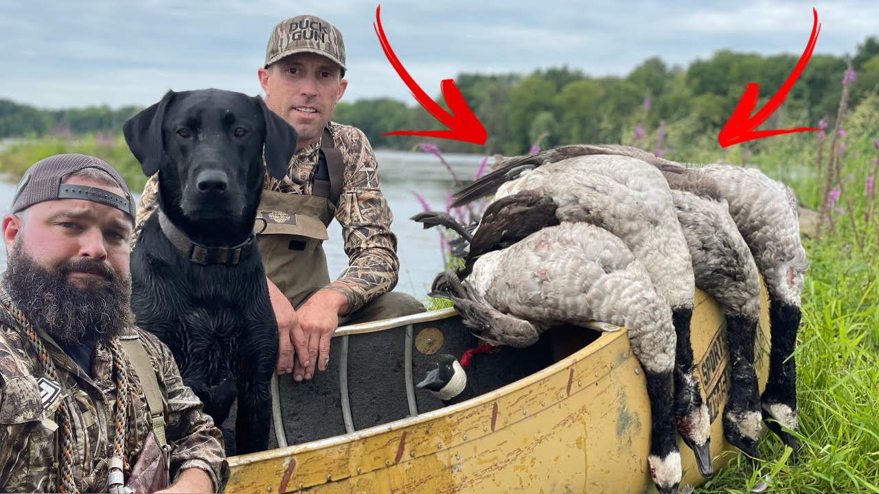 Early Goose Opener! Pt. 2 Public Land Goose Busters - YouTube