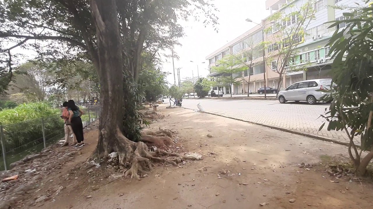 Taman Burung Cemara Asri Medan - YouTube