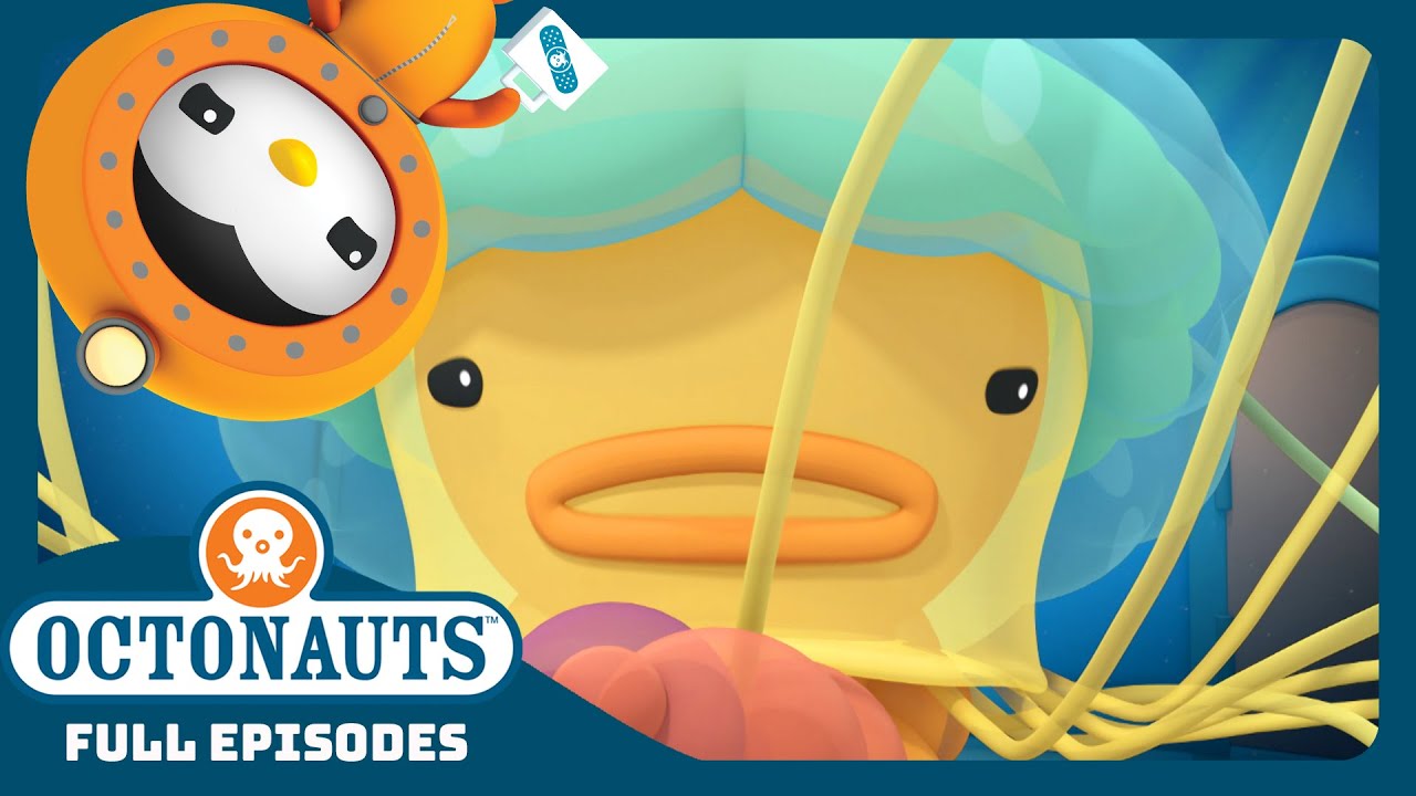 @Octonauts - 🦁 The Lion's mane Jellyfish 🪼 | Season 3 | Full Episodes ...