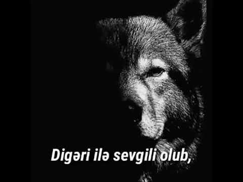 Soxucu sözler (peçat sözler) instaqram videolari , whatcapp statuslari