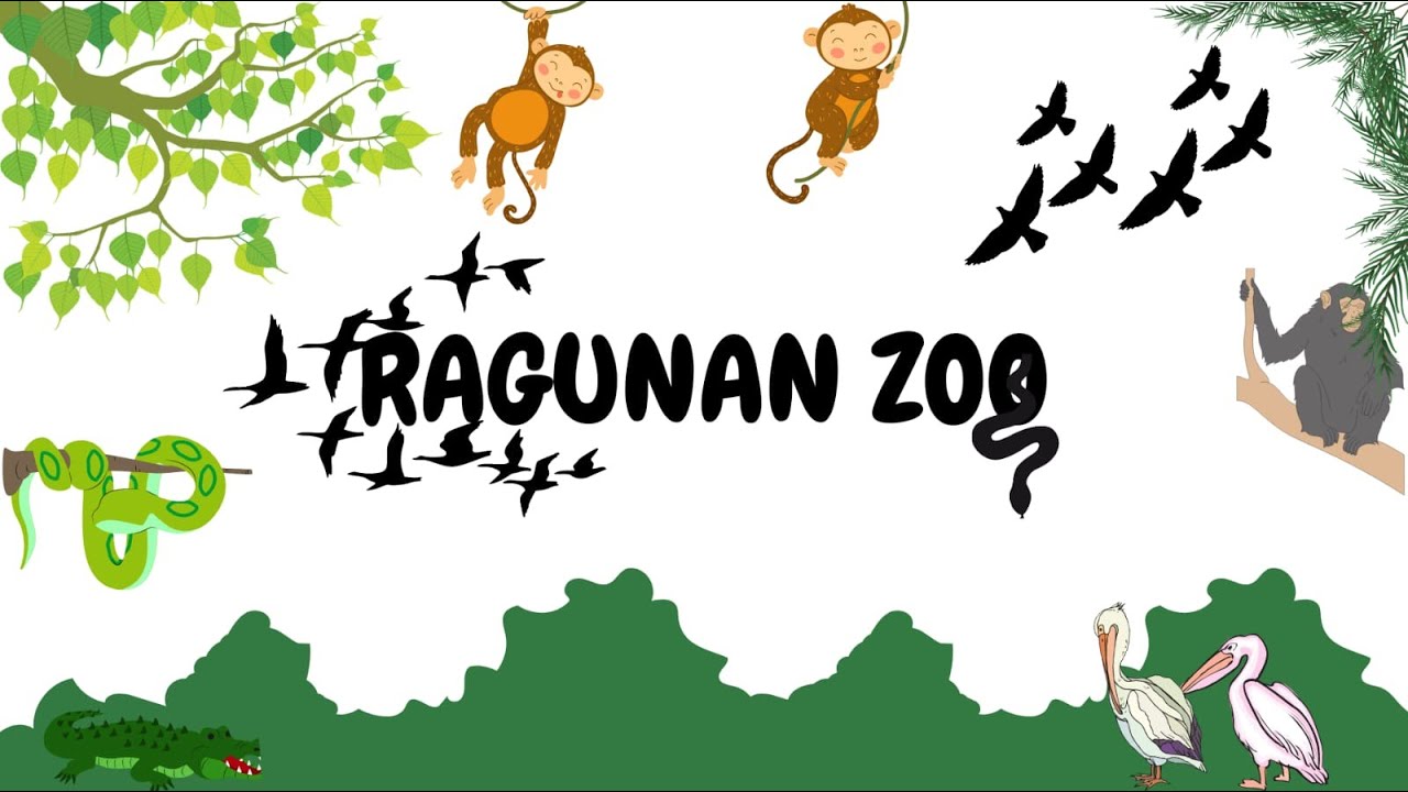 REPTILE ON RAGUNAN ZOO - YouTube