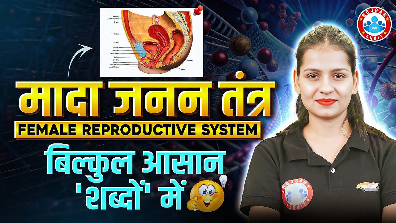 Female Reproductive System | मादा जनन तंत्र | Class 12 Biology | Female ...