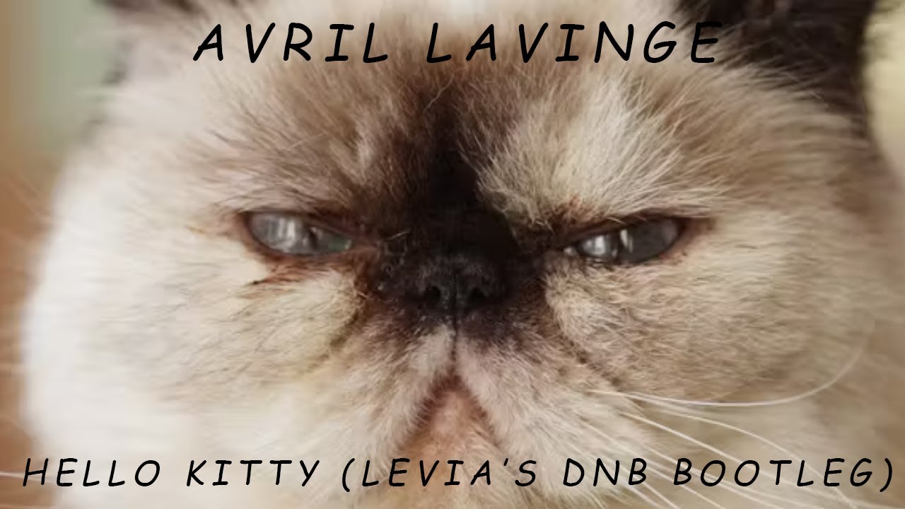Avril Lavigne - Hello kitty (Levia's DnB bootleg) - YouTube
