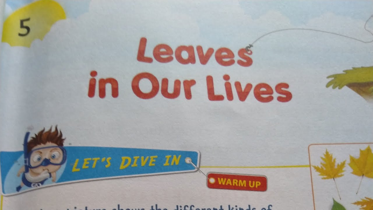 3rd Std EVS (Environmental Science ) CBSE TextBook Chapter 5 "Leaves in ...