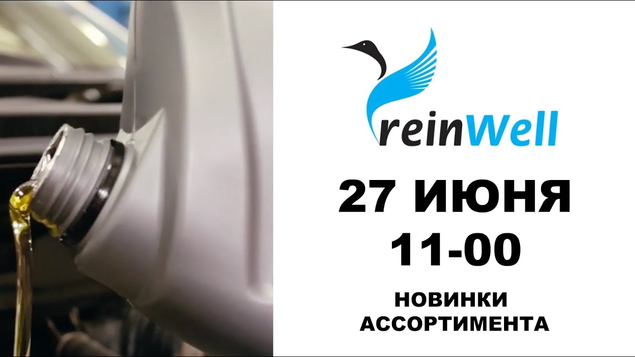 Воркшоп REINWELL: яркие новинки ассортимента. #reinwell # ...
