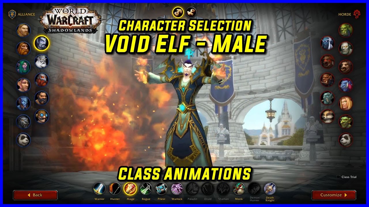 WoW Class Animations - Void Elf Male - WoW Shadowlands Character ...