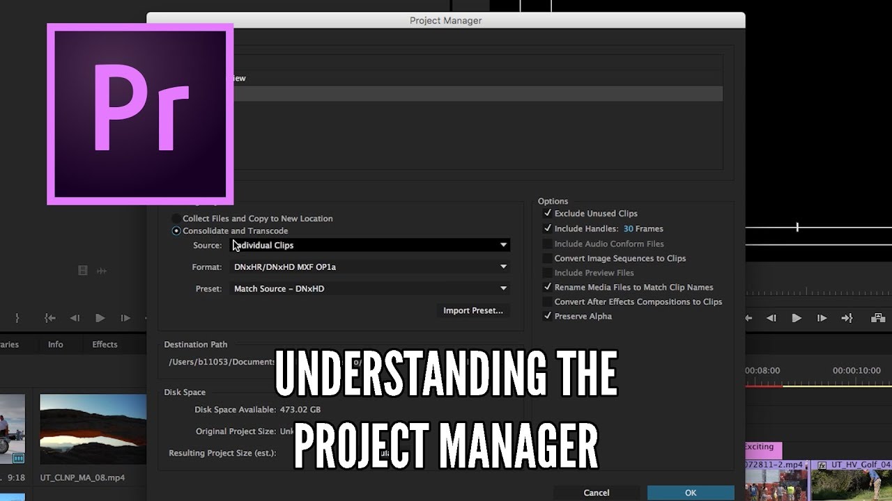 Adobe Premiere - Understanding the Project Manager - YouTube