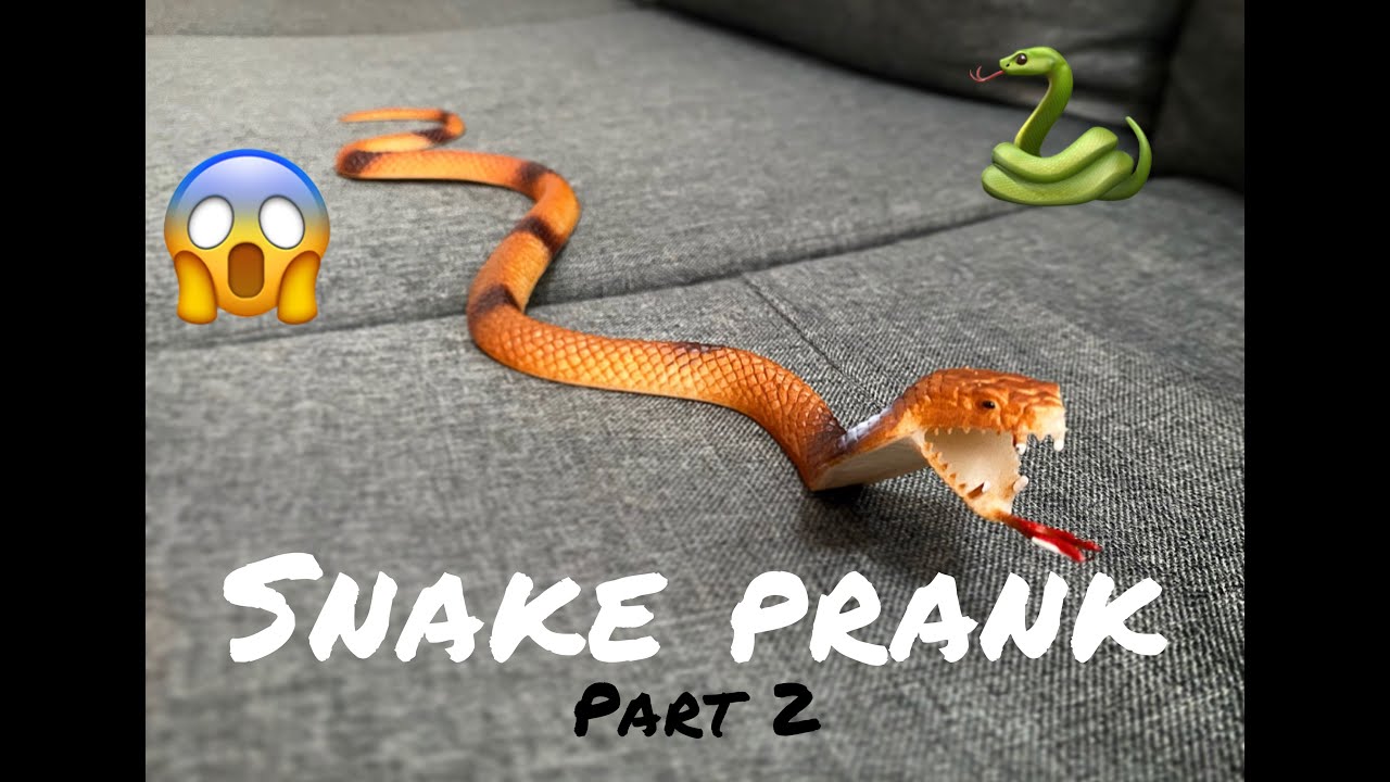 SNAKE PRANK *part 2* 🤣 || THEY GOT SCARED 😱 || SOUTH AFRICAN YOUTUBER ...