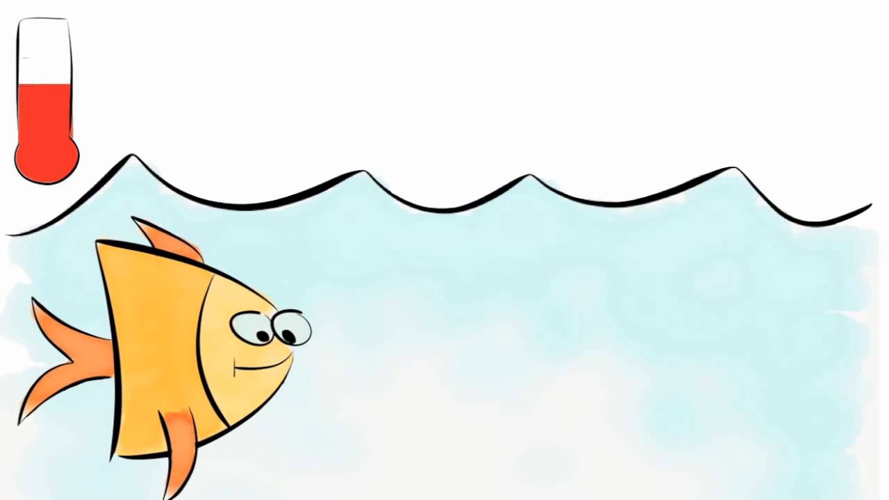 Abiotic and Biotic Factors - YouTube